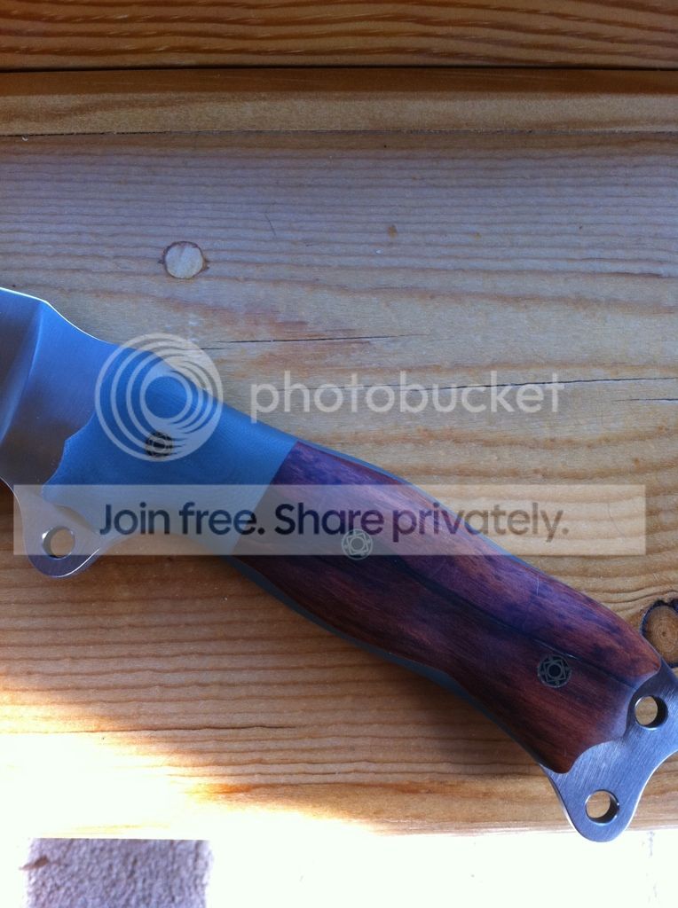 Busse Custom Shop SFNO Variant | BladeForums.com