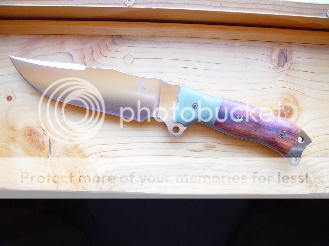 Busse Custom Shop SFNO Variant | BladeForums.com